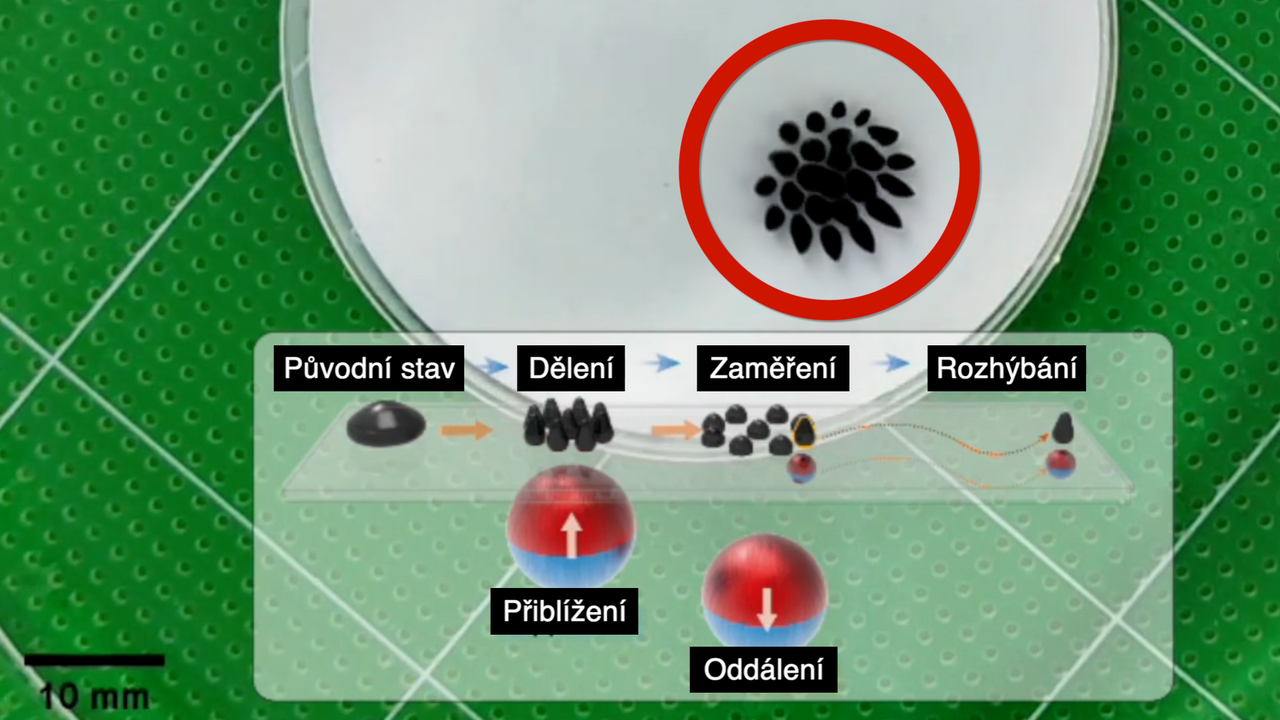 Trochu jako terminátor. Minirobot se umí rozložit na části a pak znovu ...