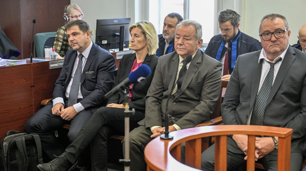 Ovlivnili přidělení dotací, rozhodl soud. Exministra poslal do vězení ...