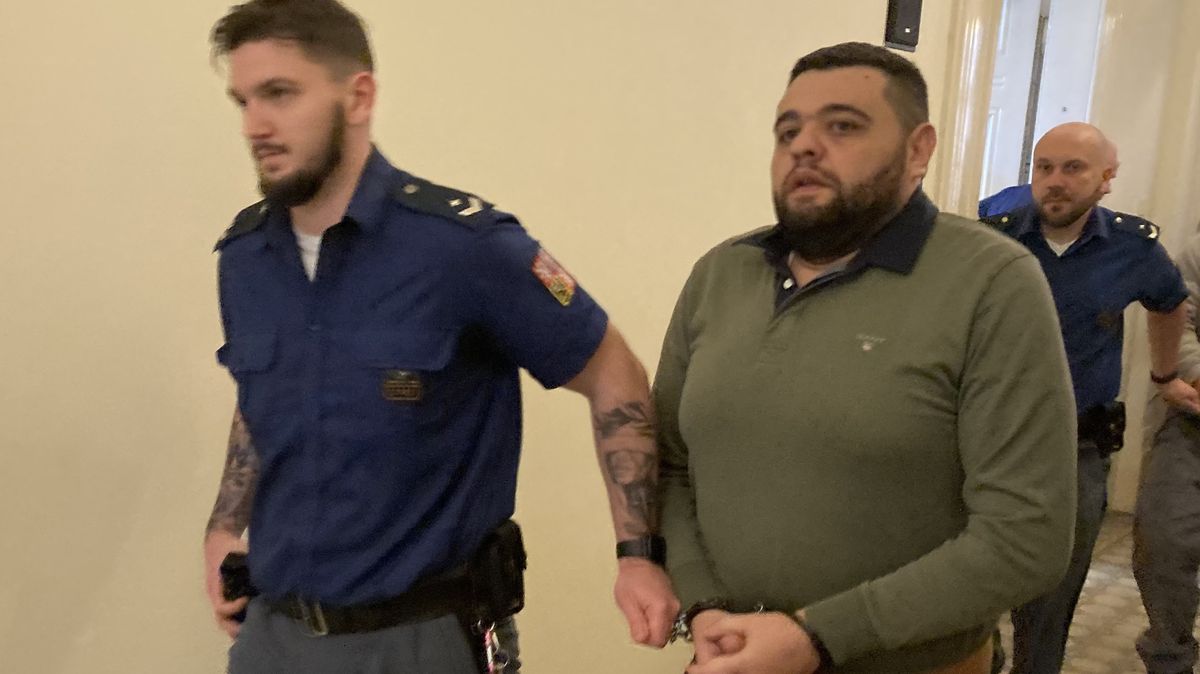 Za nájemnou vraždu padly výjimečné tresty, objednavatel dostal 28 let ...