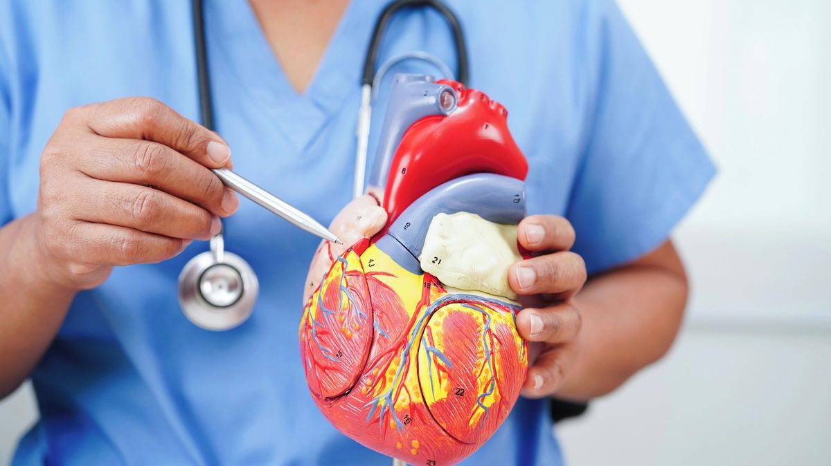Nemoci srdce a cév. Lékař mluví o prevenci i lécích
