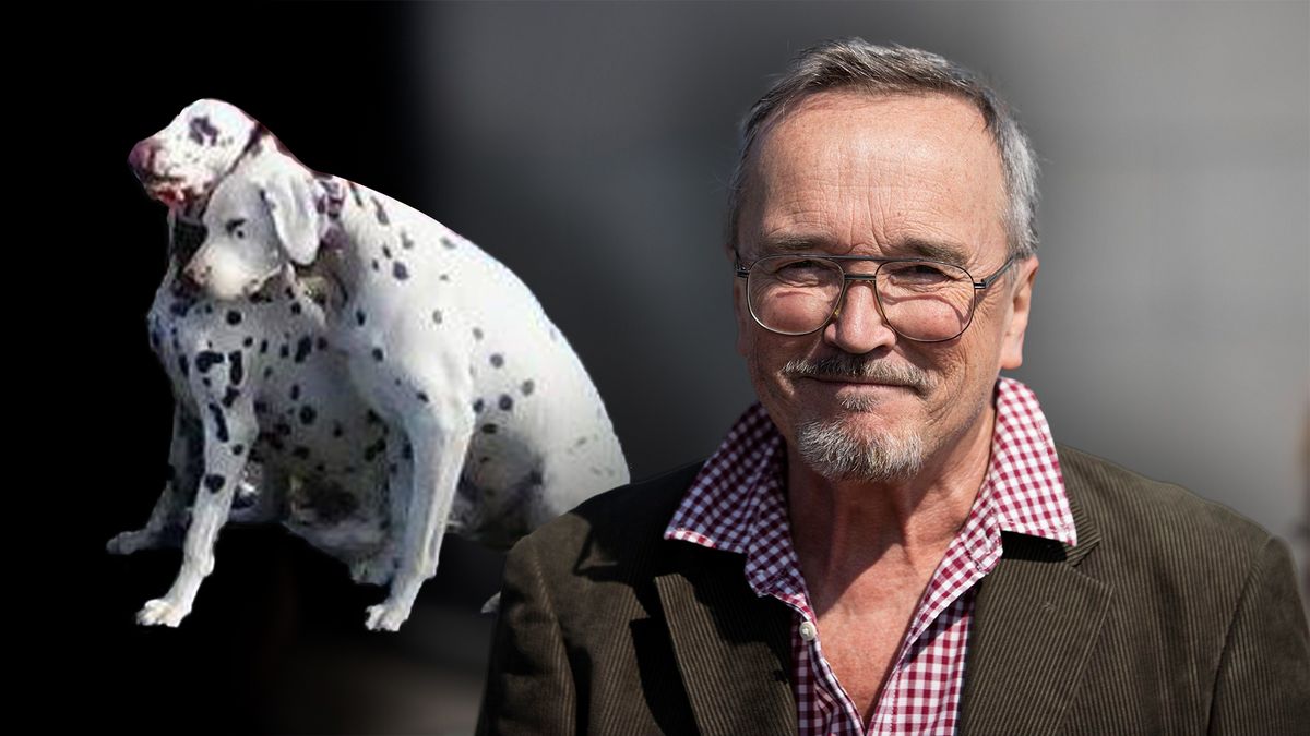 Poslanci uhynuli psi v autě. Tragické a politováníhodné, reagovalo ...