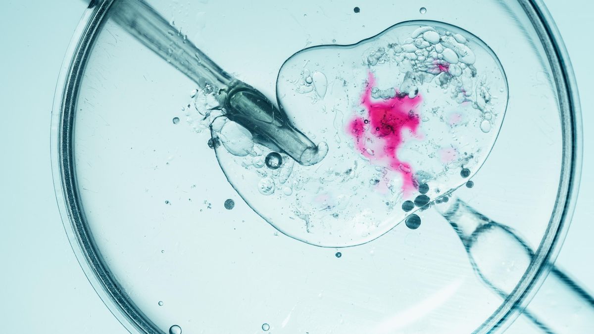 Globální krize neplodnosti. Roboti by ji mohli pomoci vyřešit - Seznam ...